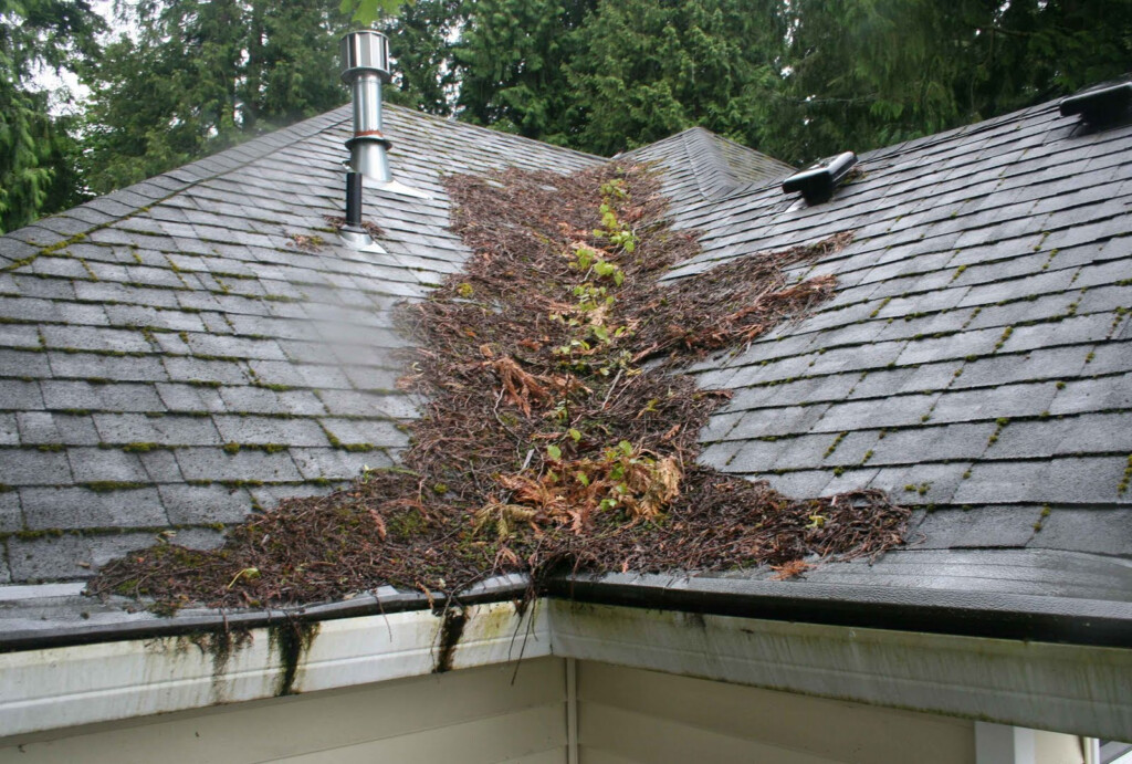 Spring into action on your roof | NJ Roofing Contractor